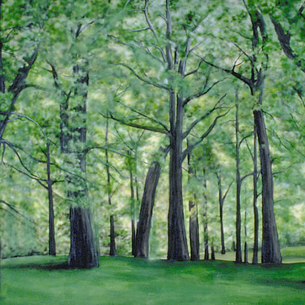 【レンタル】シーンドロップ/自然/4.2x3.6m ♯0099｜GIN-ICHIレンタル